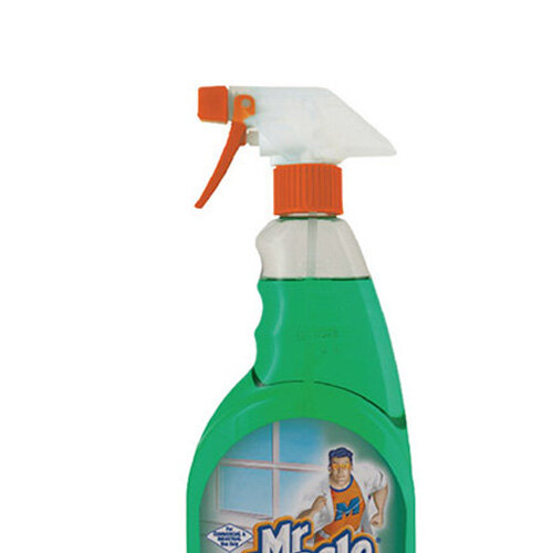 Mr Muscle Window and Glass Cleaner Spray Bottle 750ml 7516583 174495 ...