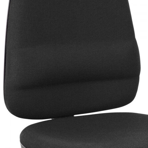 Ergotwin Lumbar Support High Back Ergonomic Posture Task Operator ...