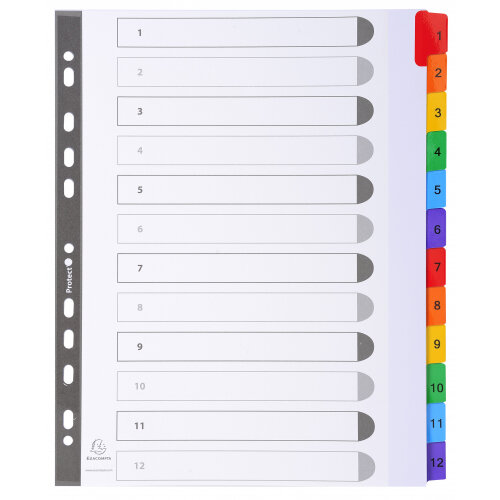 Exacompta Index 1-12 A4 Extra Wide 160gsm Card White with Coloured ...