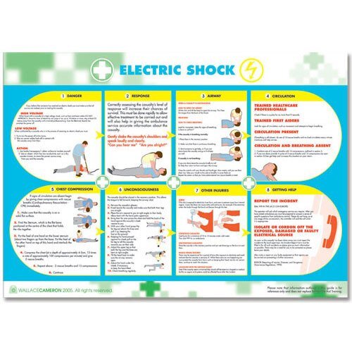 Wallace Cameron Electric Shock Poster Laminated Wall-mountable ...